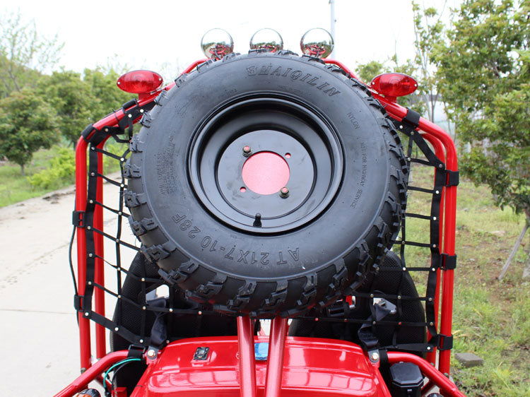 Spider 200 Buggy Go Kart, Electric Start, Automatic with Reverse, 10-i ...