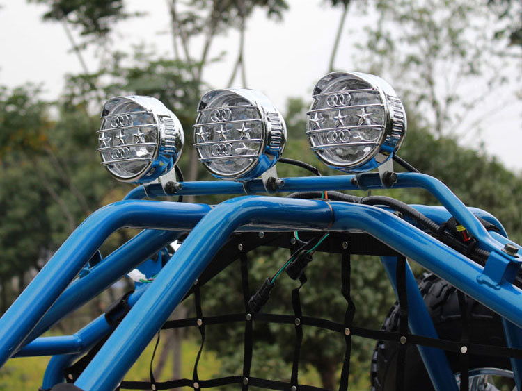 Spider 200 Buggy Go Kart, Electric Start, Automatic with Reverse, 10-i ...