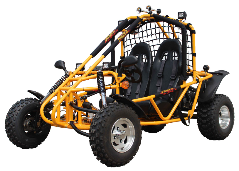 Spider 200 DLX Buggy Go Kart, Electric Start, Automatic with Reverse ...
