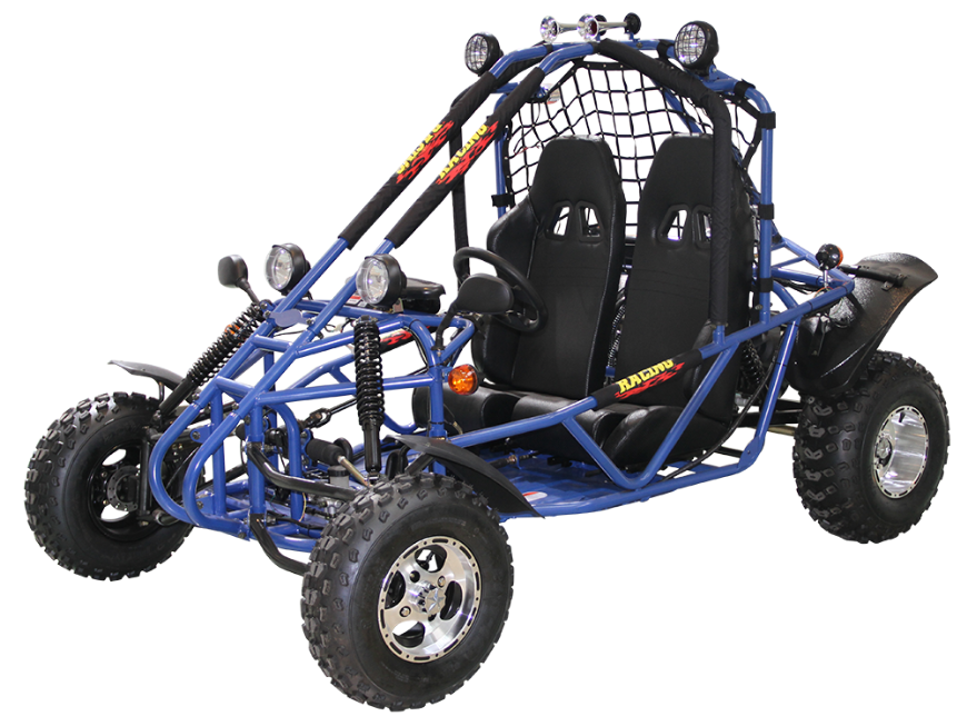 Spider 200 DLX Buggy Go Kart, Electric Start, Automatic with Reverse ...