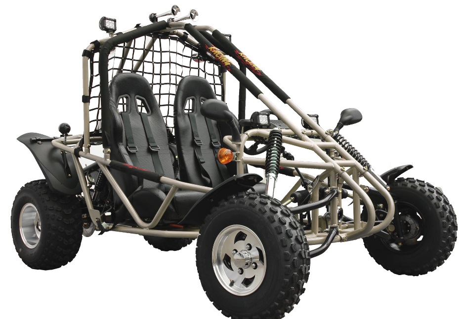 Spider 200 DLX Buggy Go Kart, Electric Start, Automatic with Reverse ...