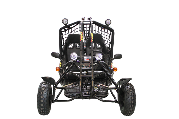Spider 200 DLX Buggy Go Kart, Electric Start, Automatic with Reverse ...