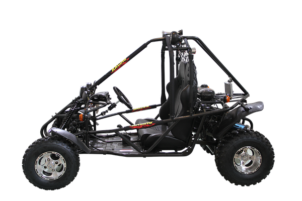 Spider 200 DLX Buggy Go Kart, Electric Start, Automatic with Reverse ...
