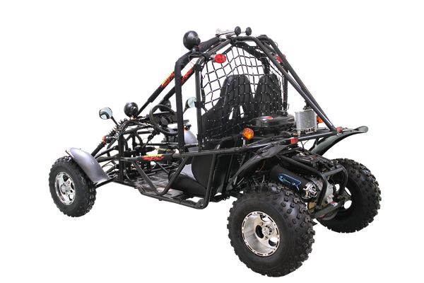 Spider 200 DLX Buggy Go Kart, Electric Start, Automatic with Reverse ...