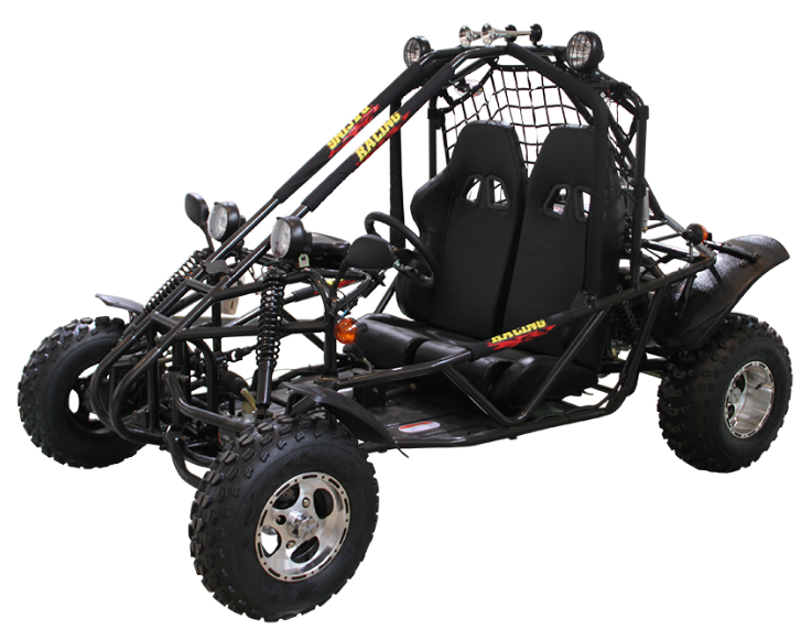 Spider 300 DLX EFI Buggy Go Kart, Electic Start, Automatic with Revers ...
