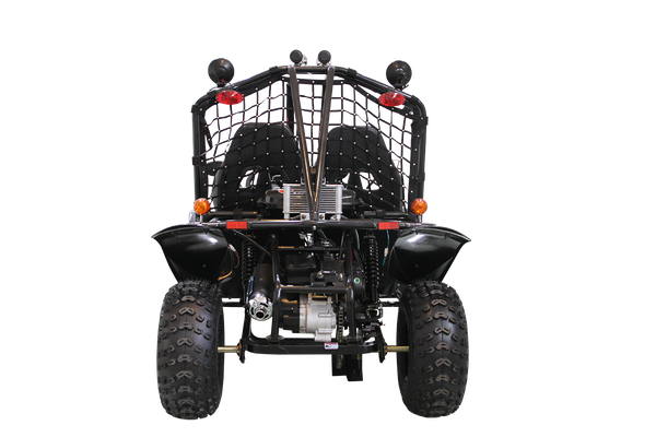 Spider 300 DLX EFI Buggy Go Kart, Electic Start, Automatic with Revers ...