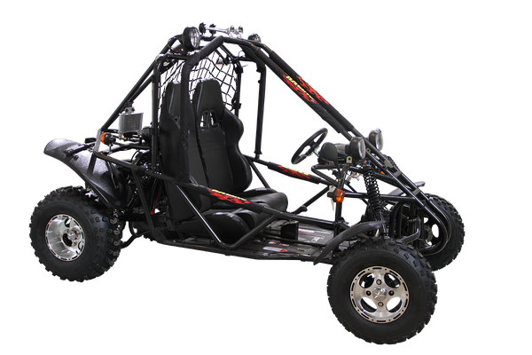 Spider 300 DLX EFI Buggy Go Kart, Electic Start, Automatic with Revers ...