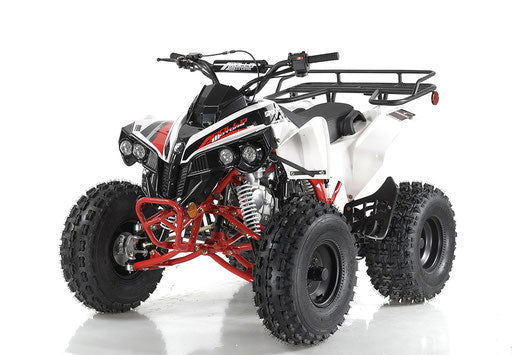 Sport Trax 125cc Sport ATV, Fully-Automatic with Reverse, Ages 12 and ...