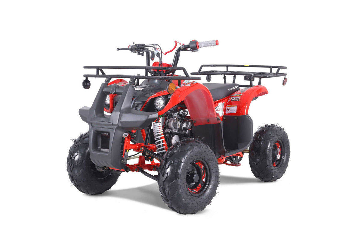 Tao Rancher 110cc Utility Style ATV, Electric Start, Automatic with Re ...