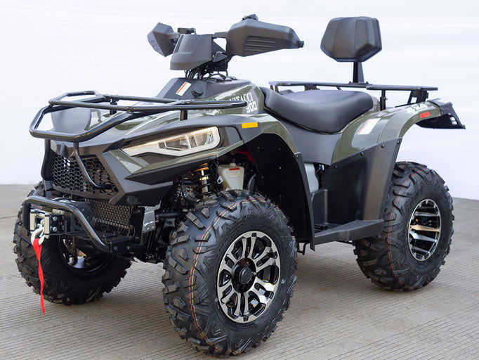 Terminator 300cc (NEW EFI Model) Utility 4x4 ATV, Fully-Automatic with ...