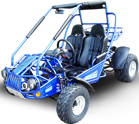 TrailMaster 300E-XRS off-Road Go Kart, Dual-Seat, Liquid Cooled ...