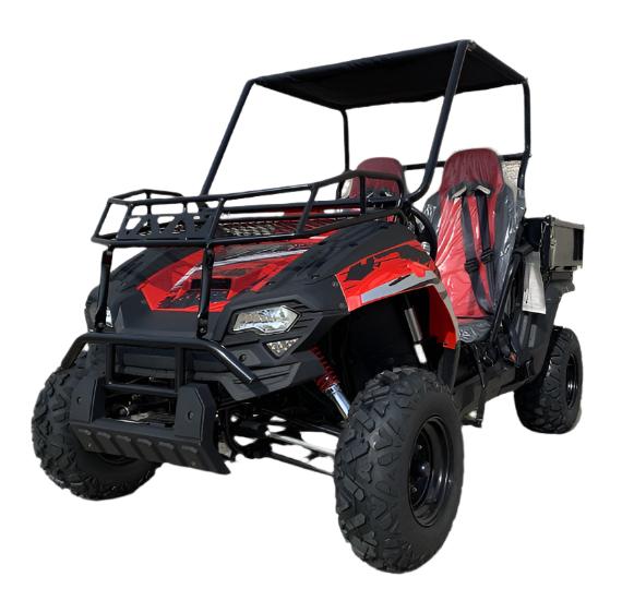 TrailMaster Challenger 200U UTV Side-by-Side, Front Cargo Rack, Rear D ...