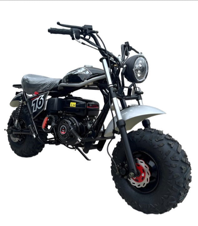 TrailMaster Hurricane 200X PRO Mini Bike, 7.5hp – GoKarts USA®
