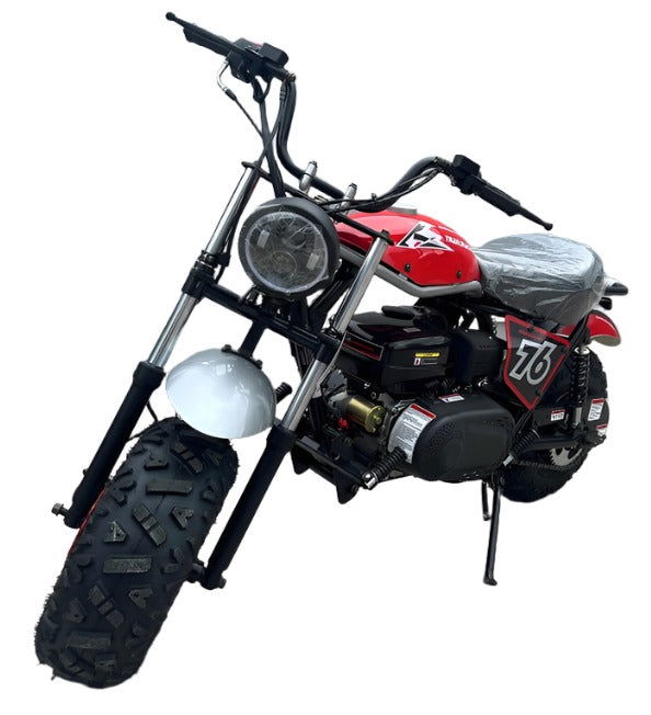 TrailMaster Hurricane 200X PRO Mini Bike, 7.5hp – GoKarts USA®