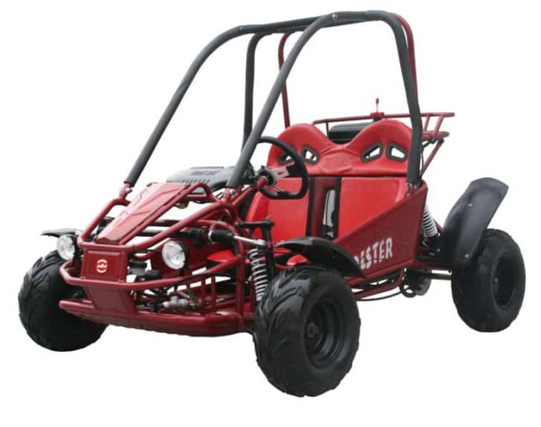 Twister 125cc Kids Gas Powered Go Kart, Electric Start, Automatic with ...