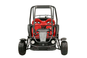 Twister 125cc Kids Gas Powered Go Kart, Electric Start, Automatic with ...
