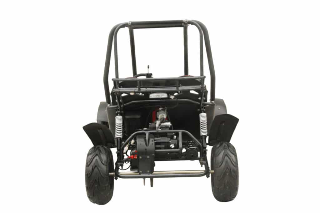 Twister 125cc Kids Gas Powered Go Kart, Electric Start, Automatic with ...