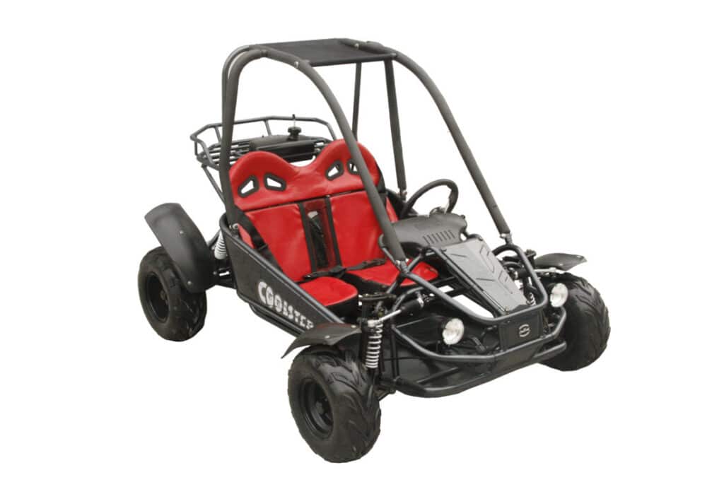 Twister 125cc Kids Gas Powered Go Kart, Electric Start, Automatic with ...