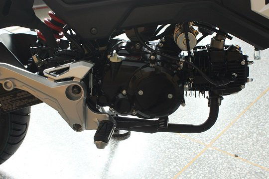 Vader 125cc Motorcycle, 4-Speed Manual, Hydraulic Disc Brakes, 12-inch ...