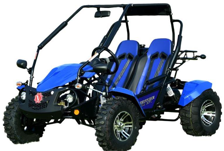 Venture 200 EFI Buggy Go Kart, Electric Start, Automatic with Reverse ...
