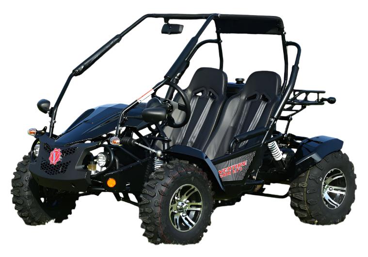 Venture 200 EFI Buggy Go Kart, Electric Start, Automatic with Reverse ...