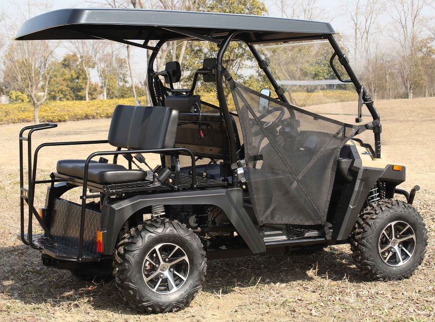 Victory 450 Gas Golf Cart, Electronic Fuel Injection, 4WD, Automatic w ...