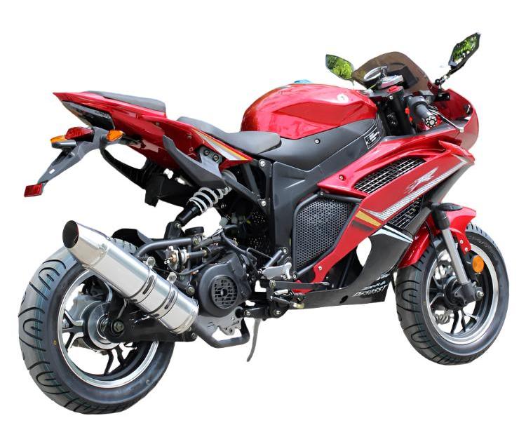 Wasp 50cc Sport Motorcycle, Automatic Shifting, Front Disc Brake, 13-i ...