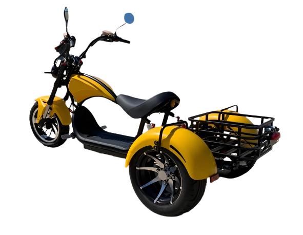 Cobra Electric Street Trike, 60v 2000w Lithium – GoKarts USA®